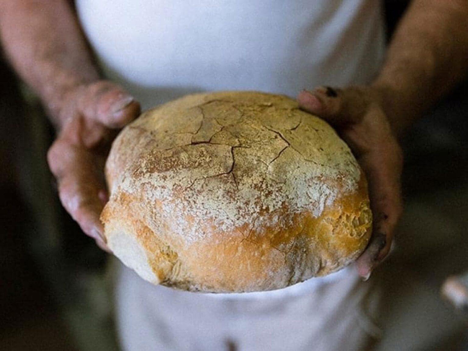 Maltese Bread | Bluewaves Watersports Malta