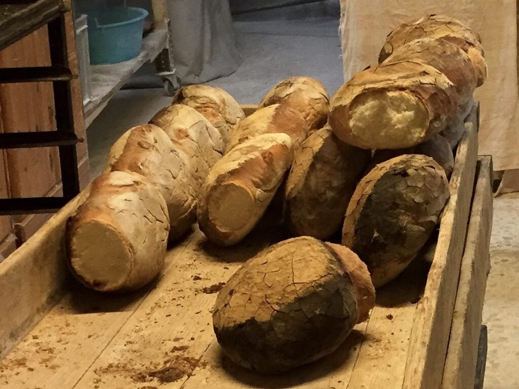 Maltese Bread | Bluewaves Watersports Malta